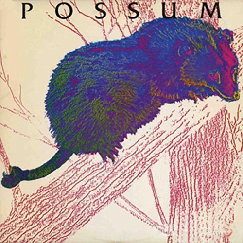Amazon.com: Possum [Explicit] : Possum: Digital Music