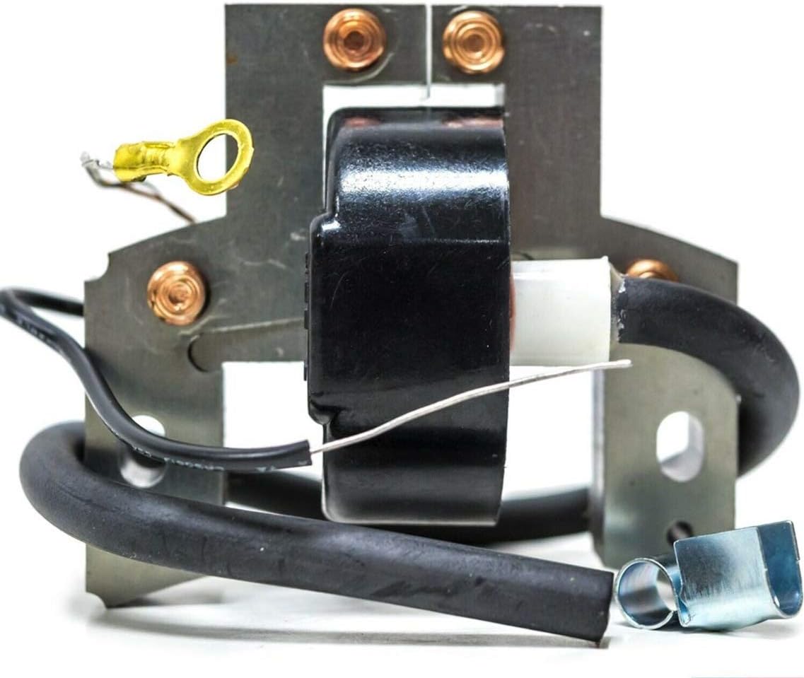 Amazon.com : Lawn Mower Parts 397358/298316 Solid State Module Ignition ...