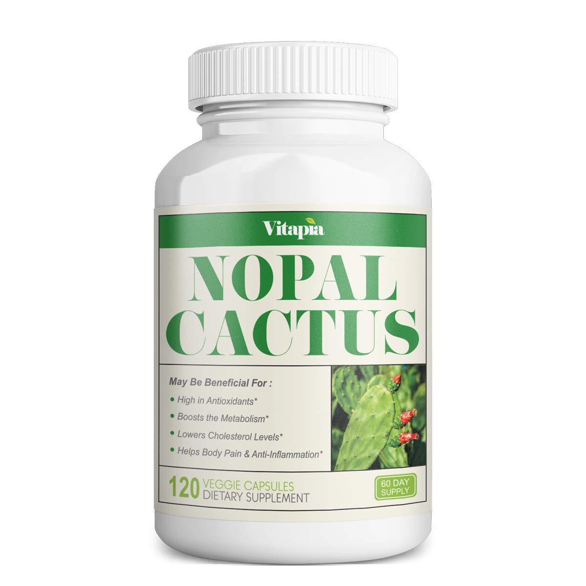 Vitapia Nopal Cactus 1000mg 20000mg 20 1 Extract Supplement 120 ...