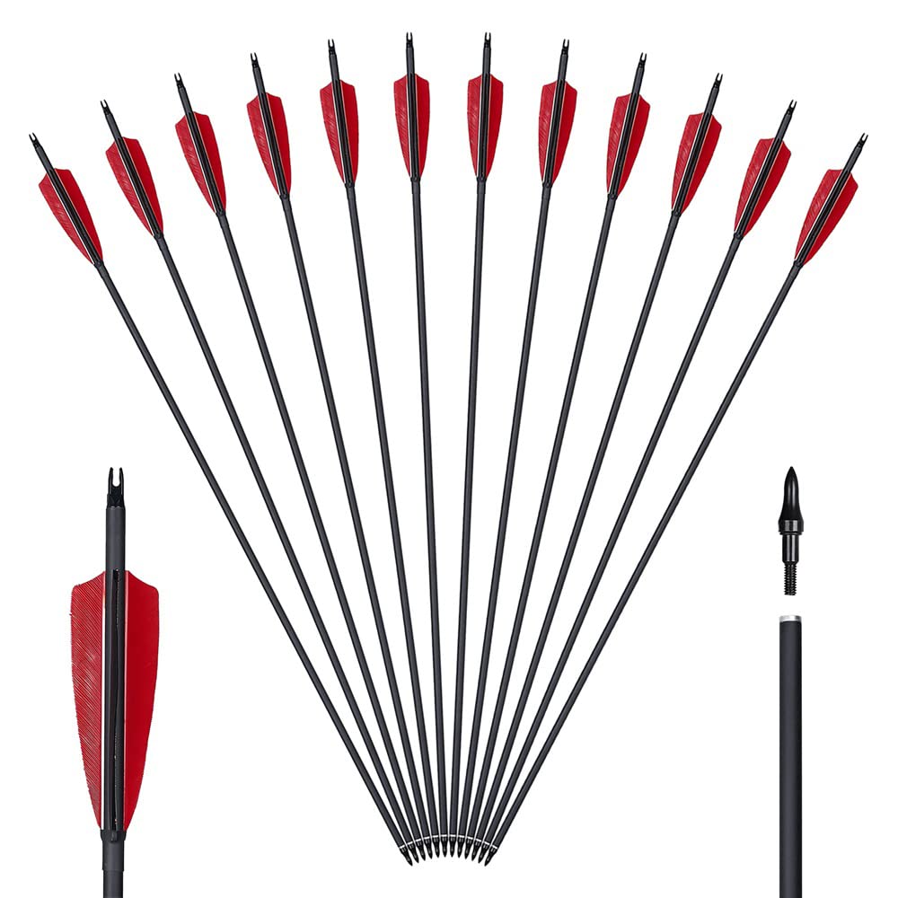 Buy Huntingdoor 12Pcs 30 inch Archery Carbon Arrows Spine 550 Hunting ...