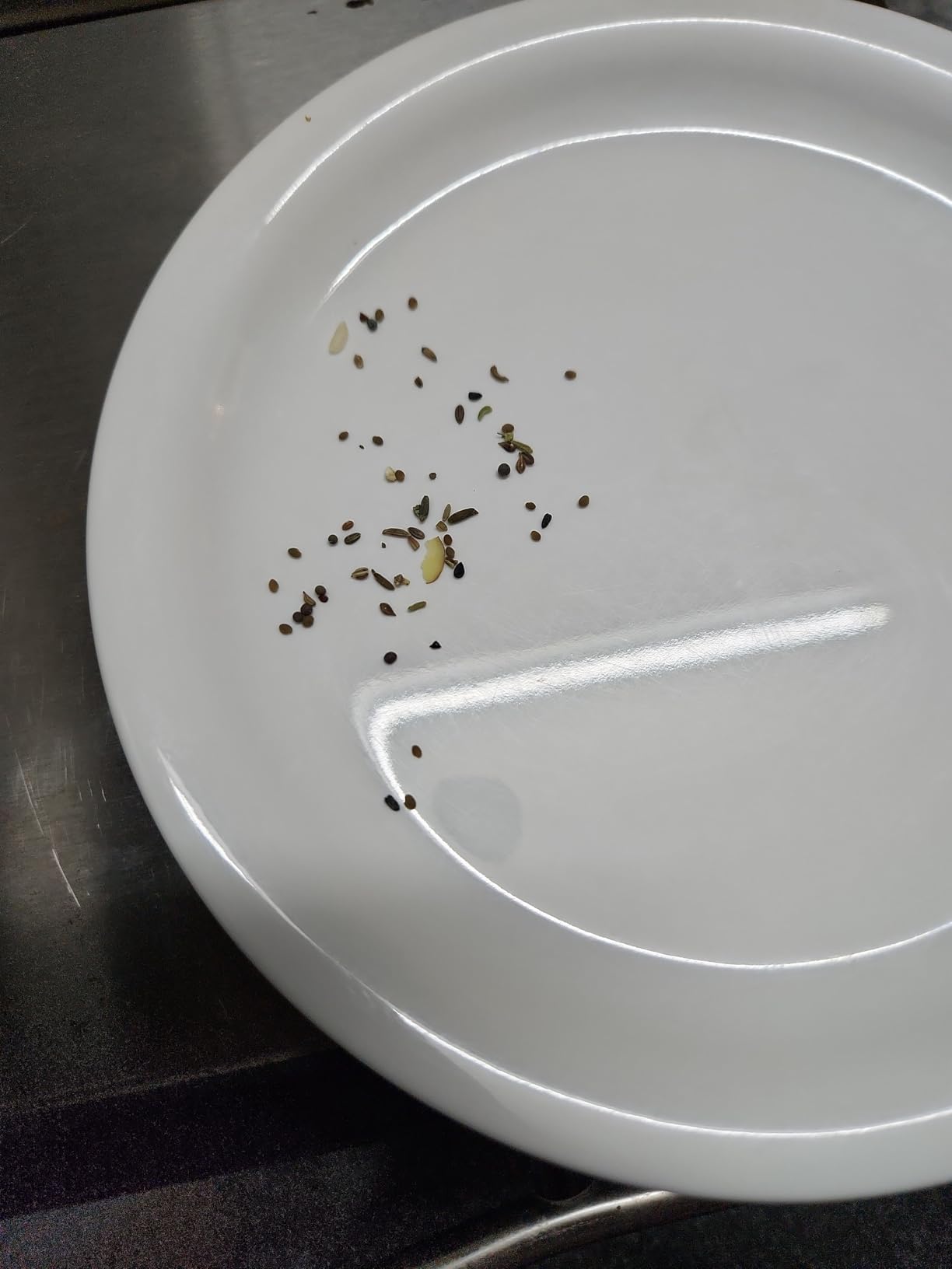 SVEDNIKA Whole Thin Fennel | Small Saunf | Fresh Fennel Seeds | Use for ...