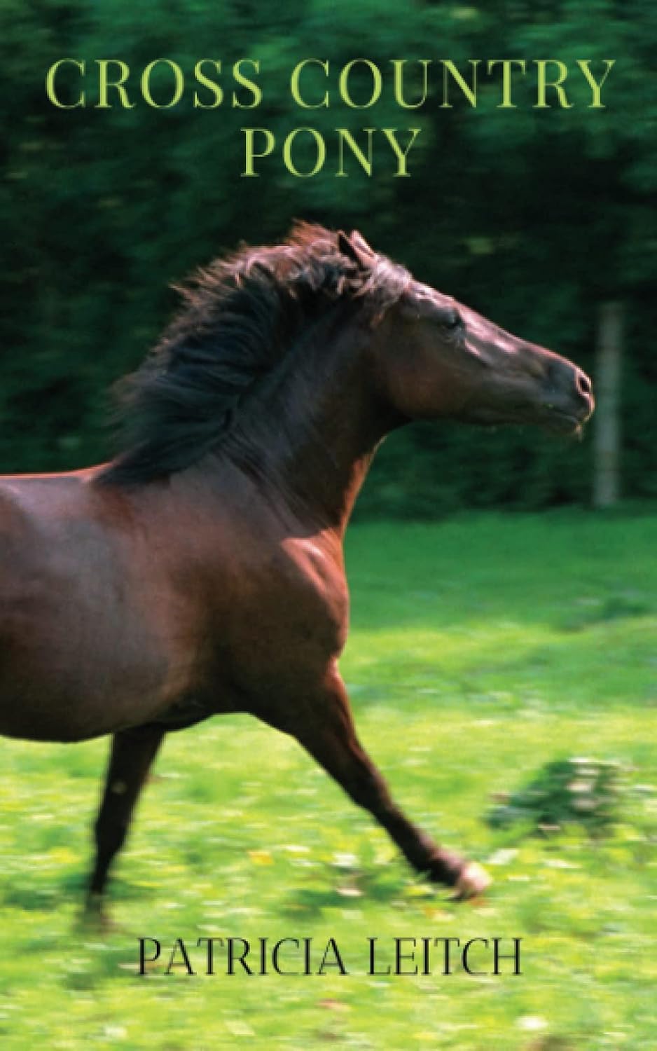 Cross Country Pony: Leitch, Patricia: 9781914389375: Amazon.com: Books