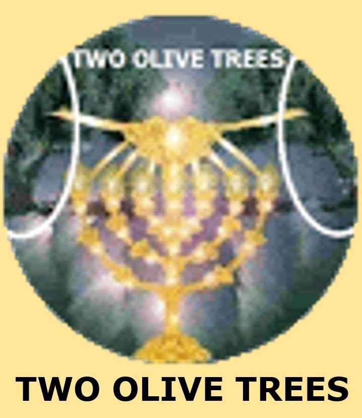 Amazon.com: TWO OLIVE TREES: books, biography, latest update