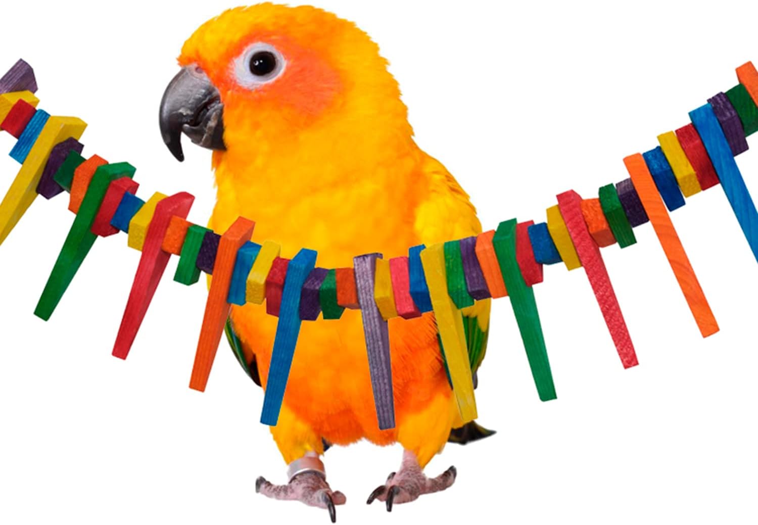 Amazon.com : Super Bird Creations SB466 Mini Triangle Teaser Toy for ...