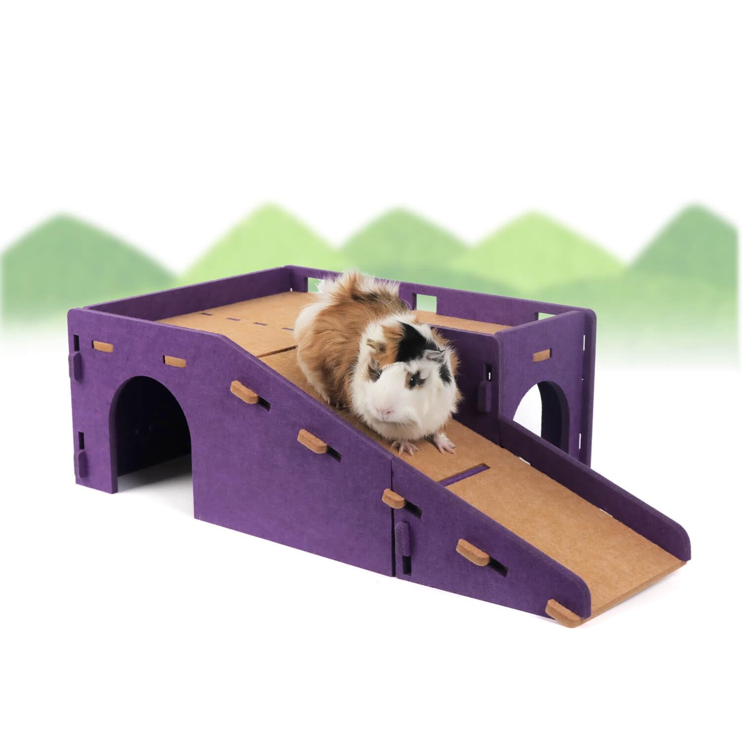 Amazon.com : Guinea Pig House, Felt Cloth Guinea Pig Hideout with Cave ...