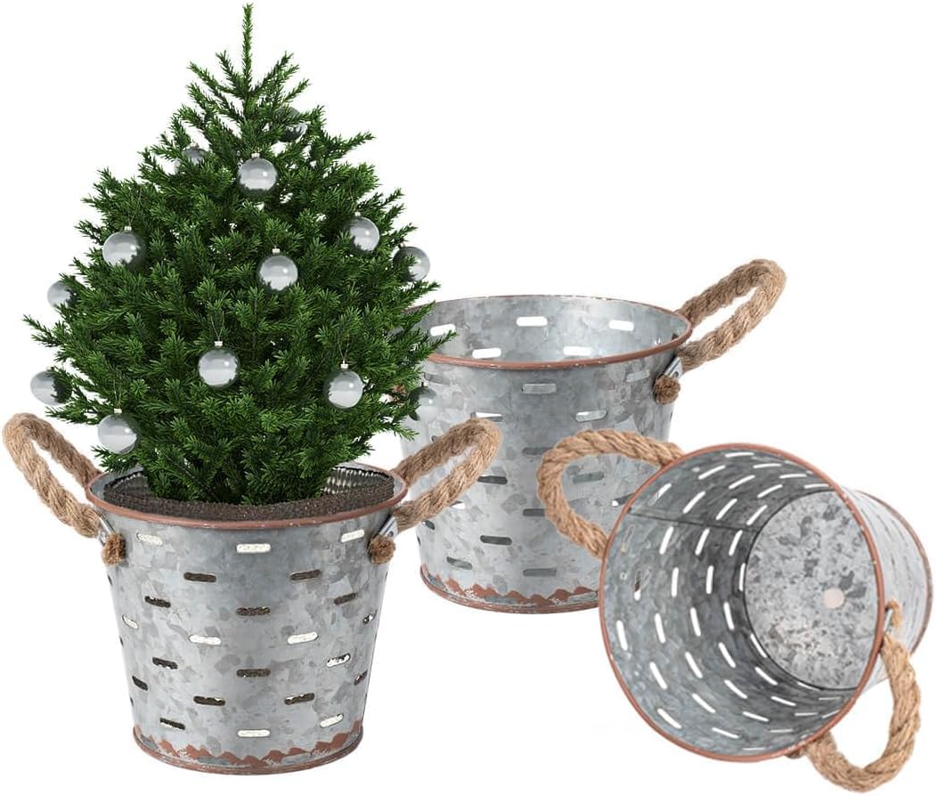 Amazon.com : vensovo Galvanized Metal Olive Bucket with Handles - 3Pcs ...