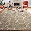 Amazon.com: ONASAR 8x10 Area Rugs for Living Room, Fluffy Beige and ...