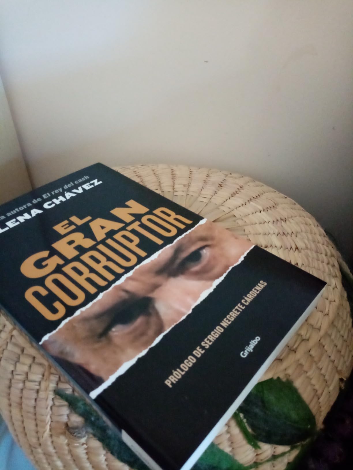 El gran corruptor : Chávez, Elena: Amazon.com.mx: Libros
