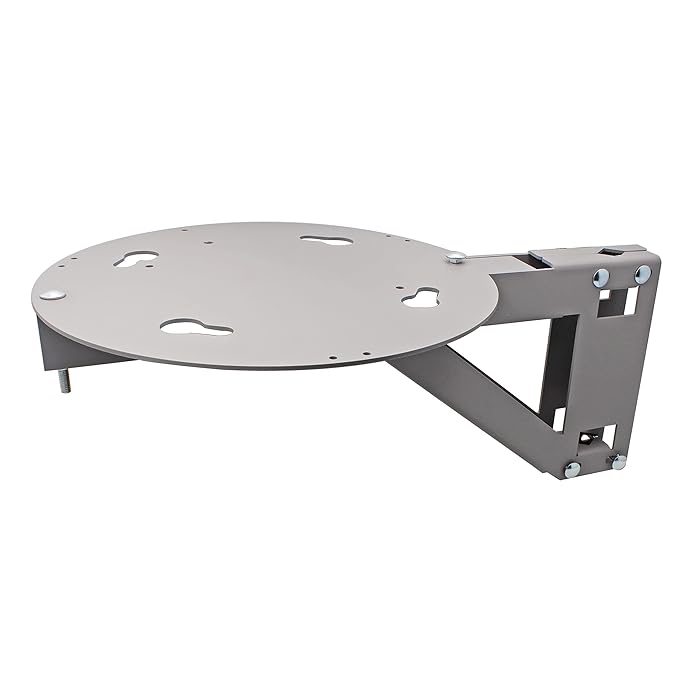 Buy MT-4000 RV Ladder Mount, Compatible with Carryout G2, G2+ and ...