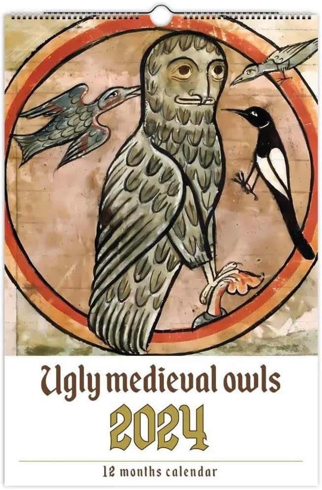 Amazon.com: Weird Medieval Owl Calendar 2024 Funny Owl Wall Calendar ...