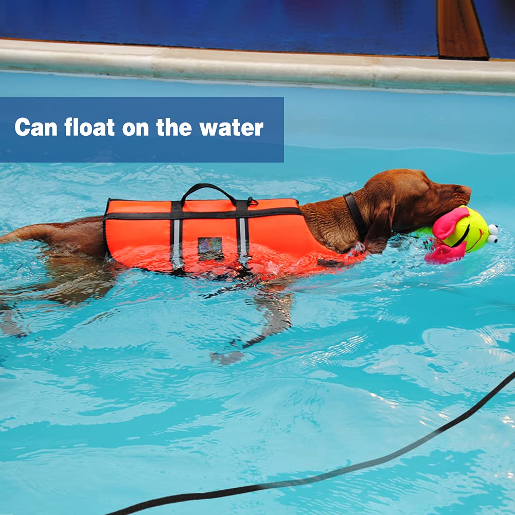 Snapklik.com : Vivifying Long Dog Leash - 32FT Floating Leash For Dog ...