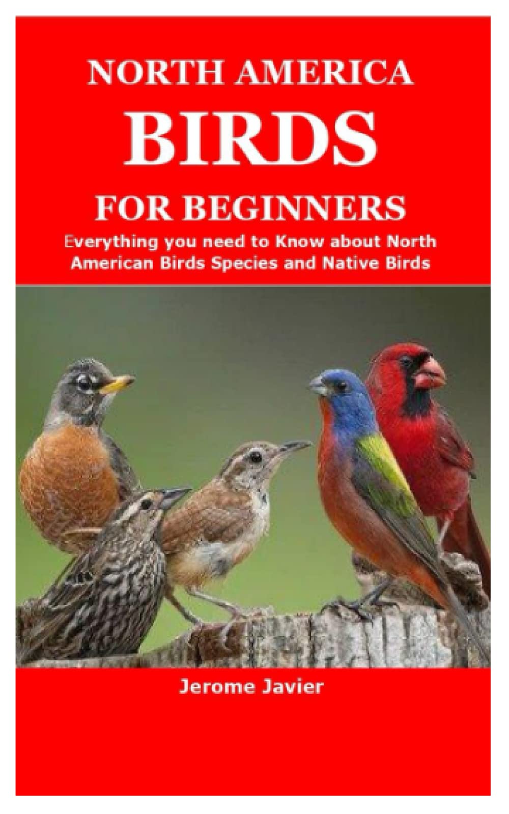 NORTH AMERICA BIRDS FOR BEGINNERS: Everything you need to Know about ...