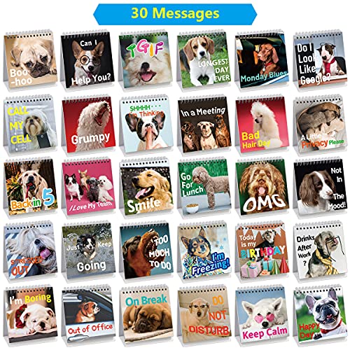 Snapklik.com : Funny Desk Signs For Dog Lovers 30 Different Fun And ...