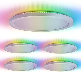 Sunco Smart LED Flush Mount Ceiling Light Fixture 24W 2500LM 13 Inch ...