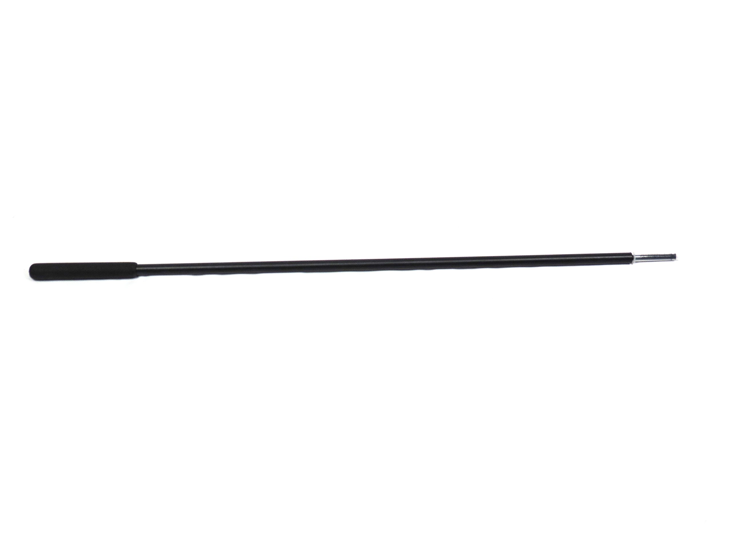 Amazon.com: Professional 36" Jab Stick 3cc : Patio, Lawn & Garden