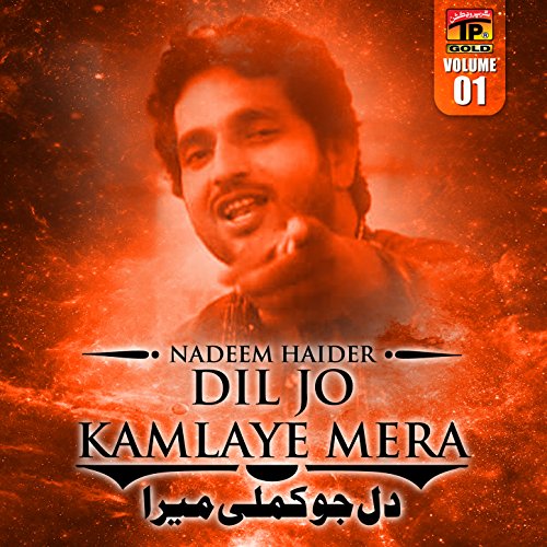Amazon.co.jp: Dil Jo Kamlaye Mera, Vol. 1 : Nadeem Haider: デジタルミュージック