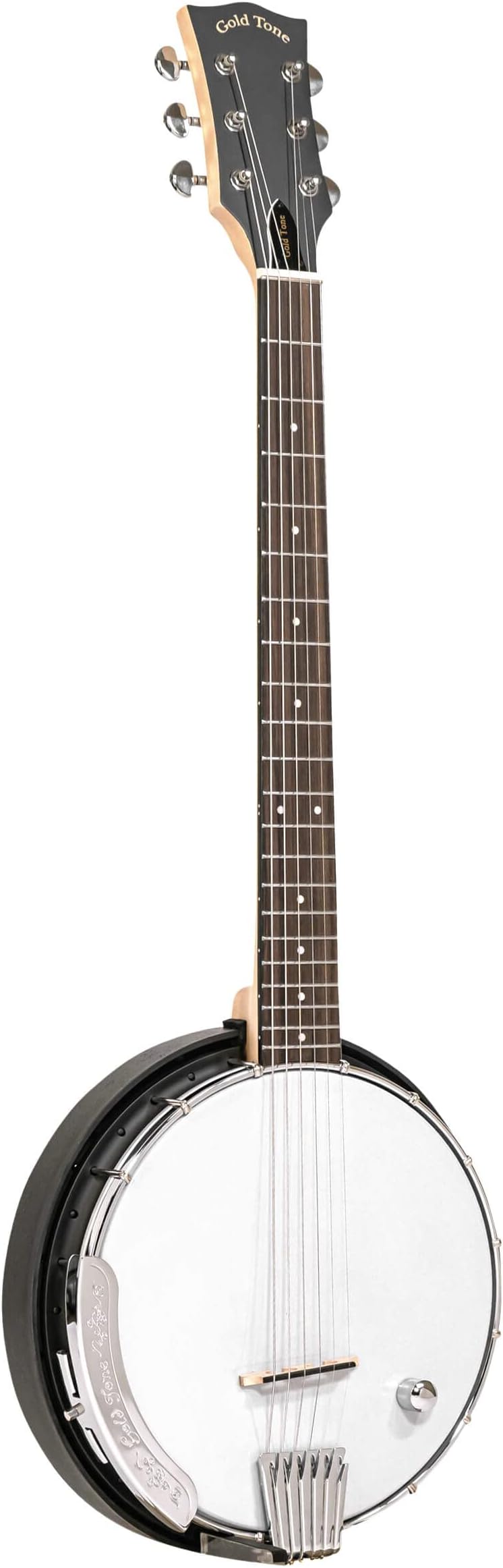 Amazon.com: Gold Tone AC-6+: Acoustic Composite Banjitar with Pickup ...