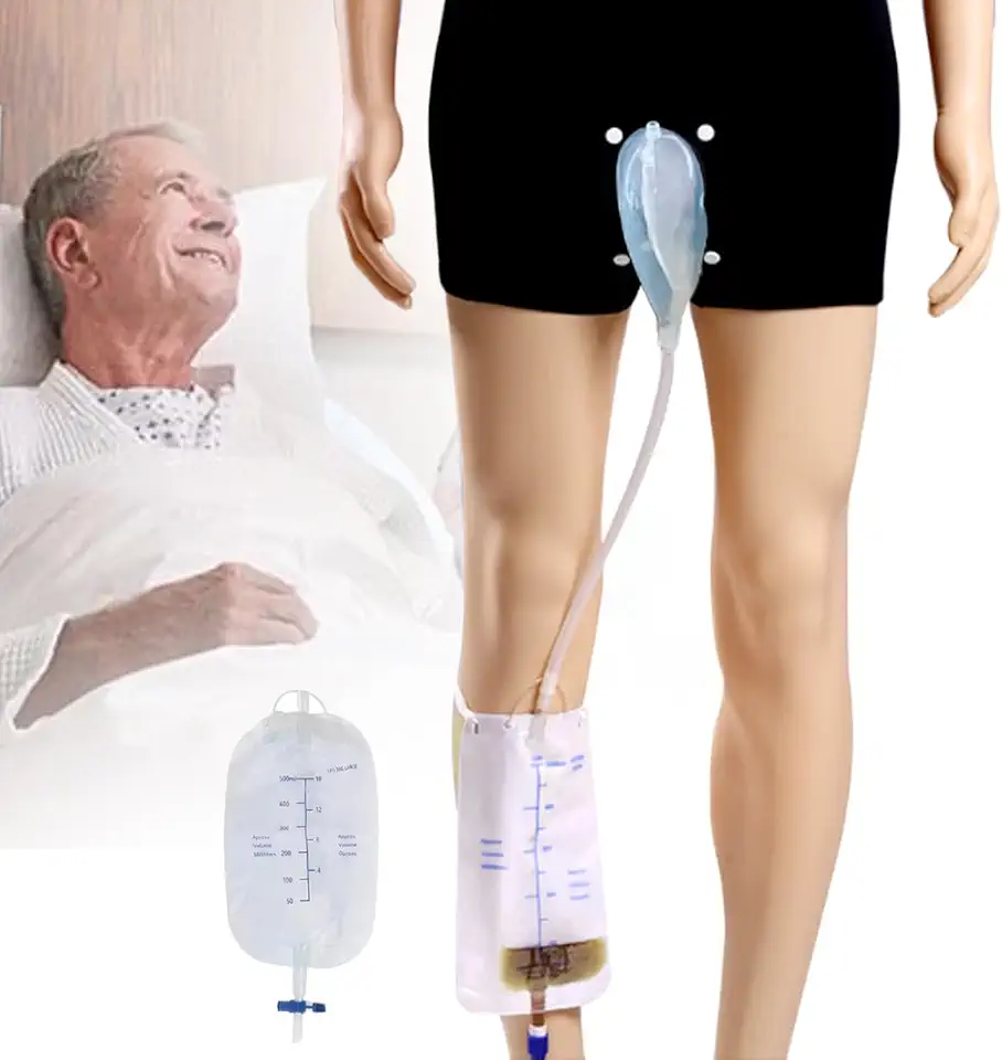 Understanding The Male Urinary System: Unraveling The Mystery Of Where ...