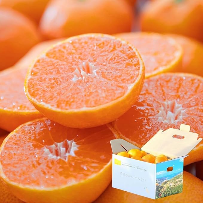 Amazon | みかん 2kg お試し 箱売り 愛媛産 国産 八幡浜市産 西宇和 訳あり 家庭用 (2S～3Lサイズ) | みかんの花 愛媛みかん | みかん・柑橘類 通販