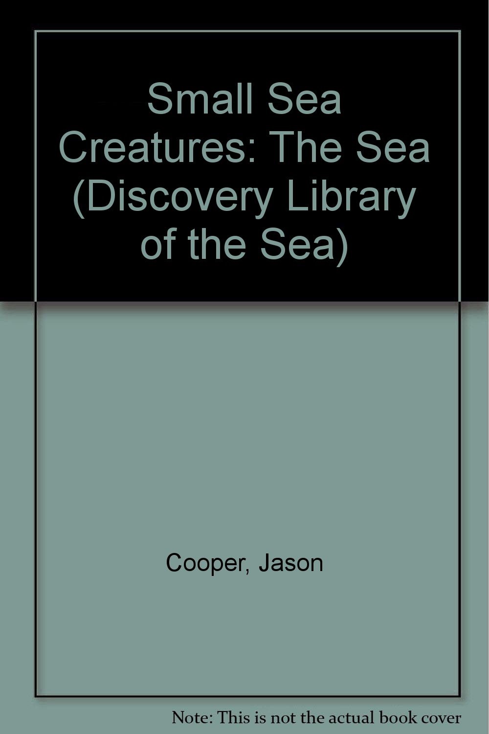 Small Sea Creatures: The Sea (Discovery Library of the Sea): Cooper ...