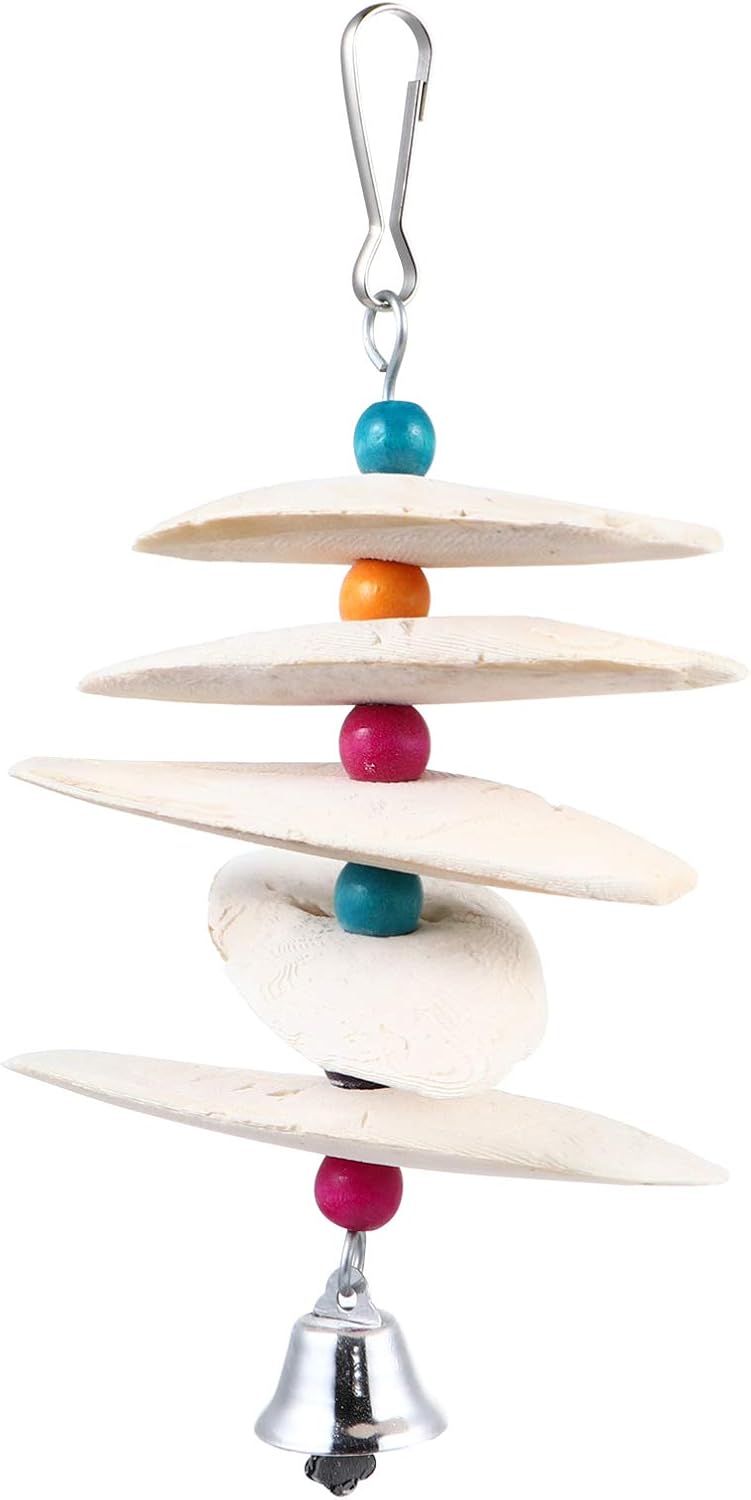 Amazon.com : Scicalife Bird Cuttlebone for Parakeets, Natural Cuddle ...