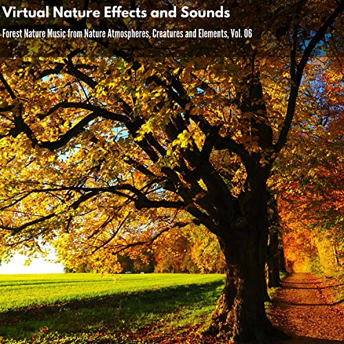 Virtual Nature Effects and Sounds - Forest Nature Music from Nature ...