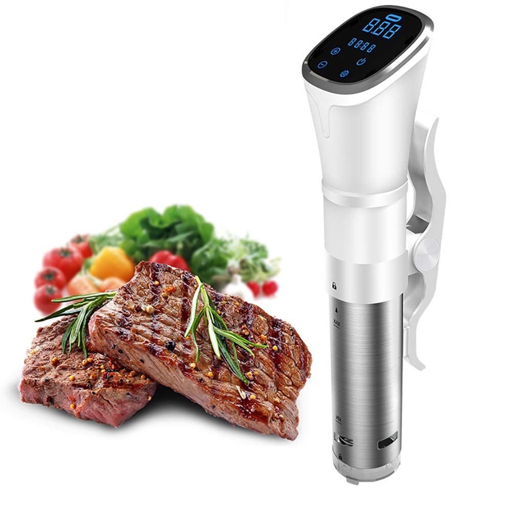 Buy Outdoorx Immersion circulator, 1800W culinary sous vide precision ...