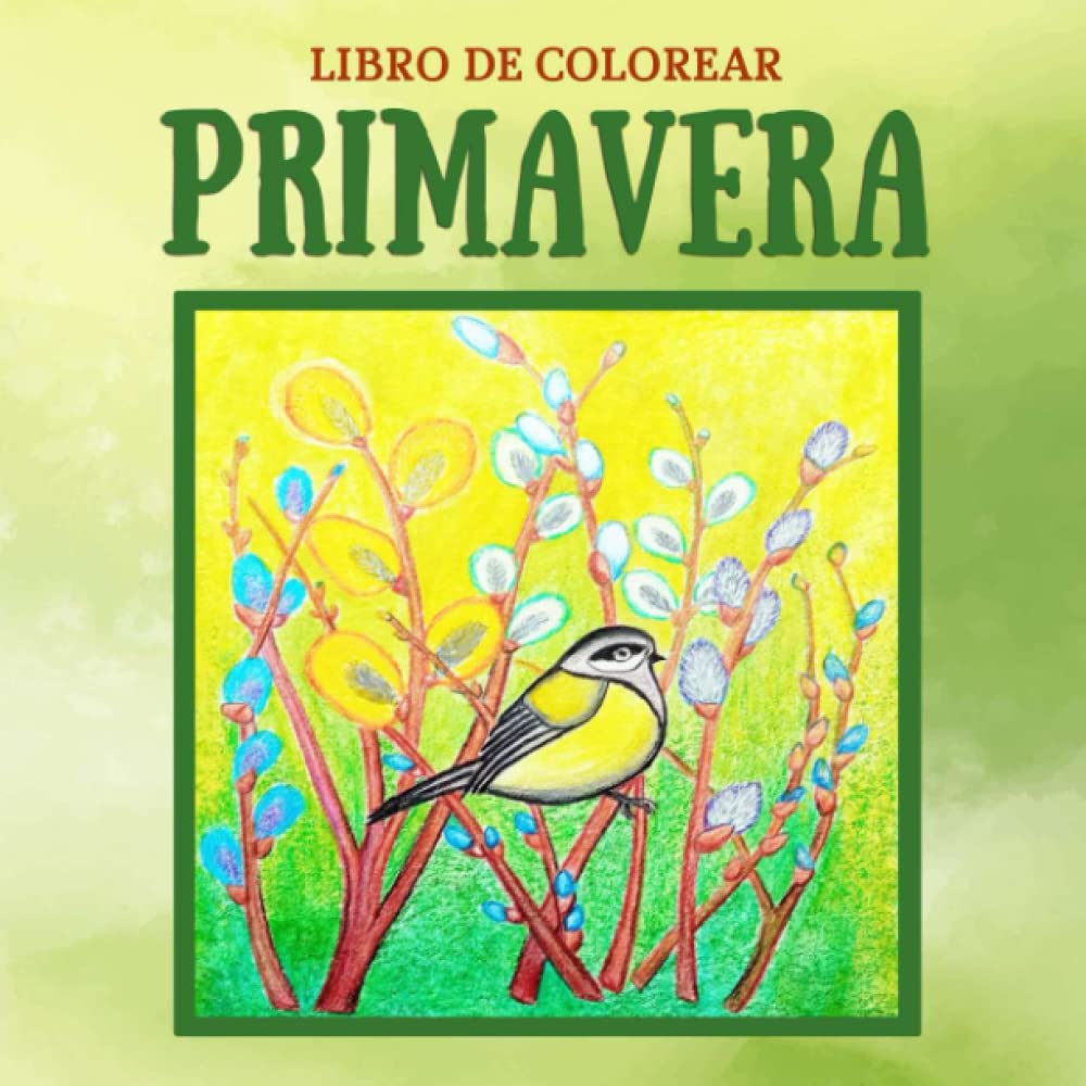 Buy Primavera Libro de Colorear: Diseños de primavera sencillos y ...