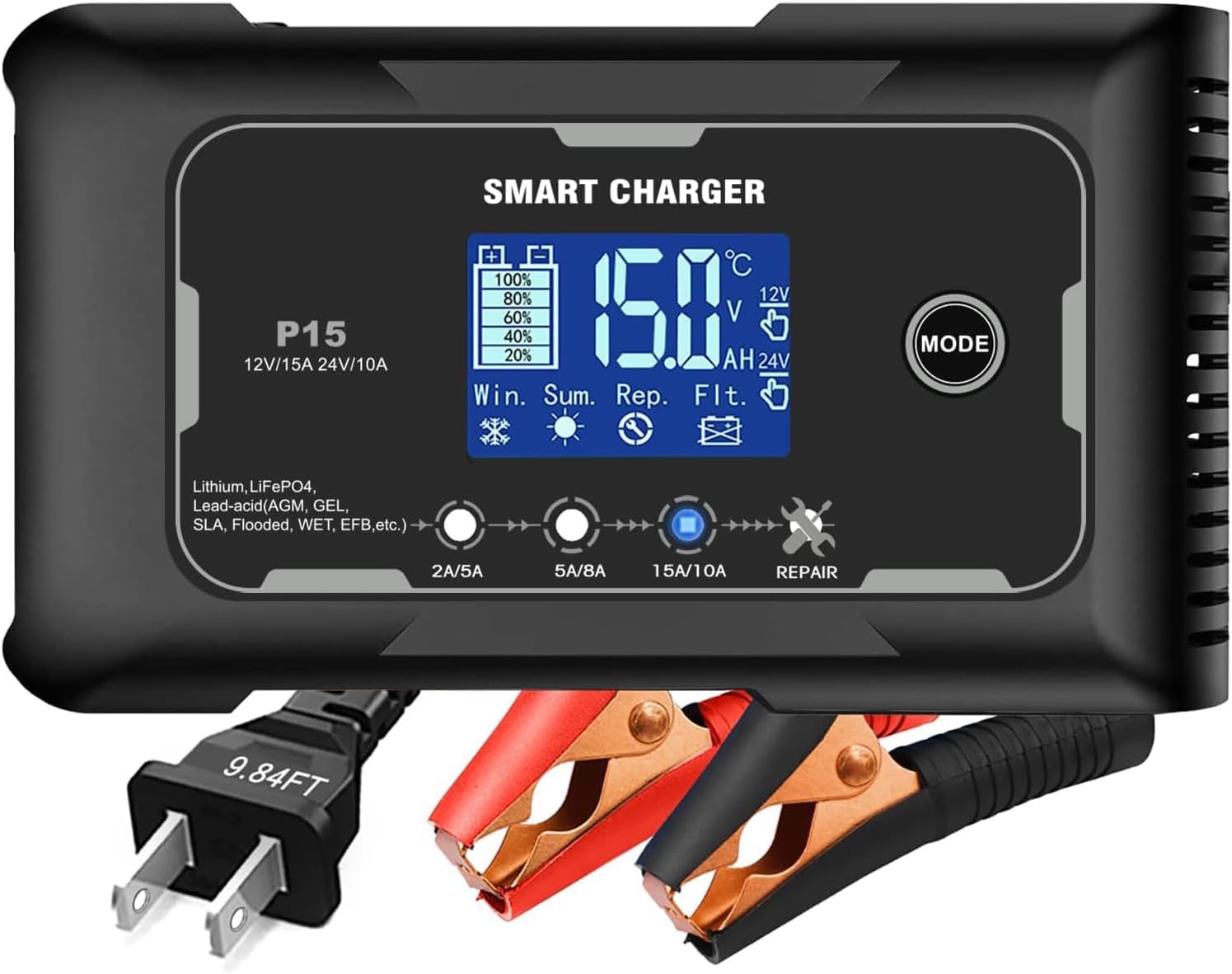 Amazon.com: FOXSUR [New Upgrade] Lithium Battery Charger, 12V/24V 6Amp ...