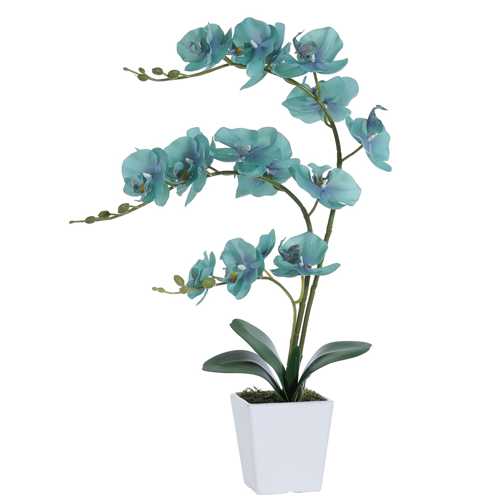 Amazon.com: YSZL Faux Orchid in Vase Large Artificial Orchid in Ceramic ...