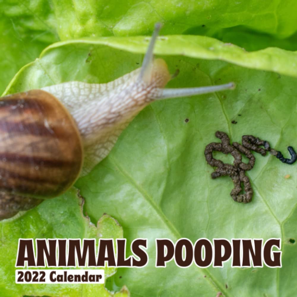 Buy Animals Pooping 2022: Animals Pooping Official 2022 Monthly Planner ...