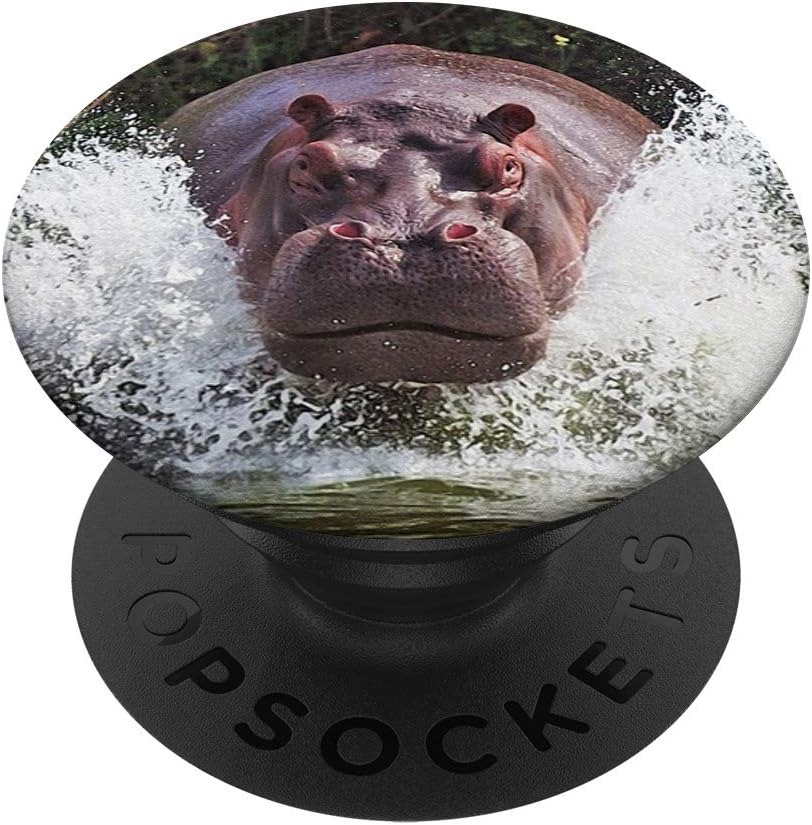 Amazon.com: Angry Hippo Hippopotamus Exotic African Animal PopSockets ...