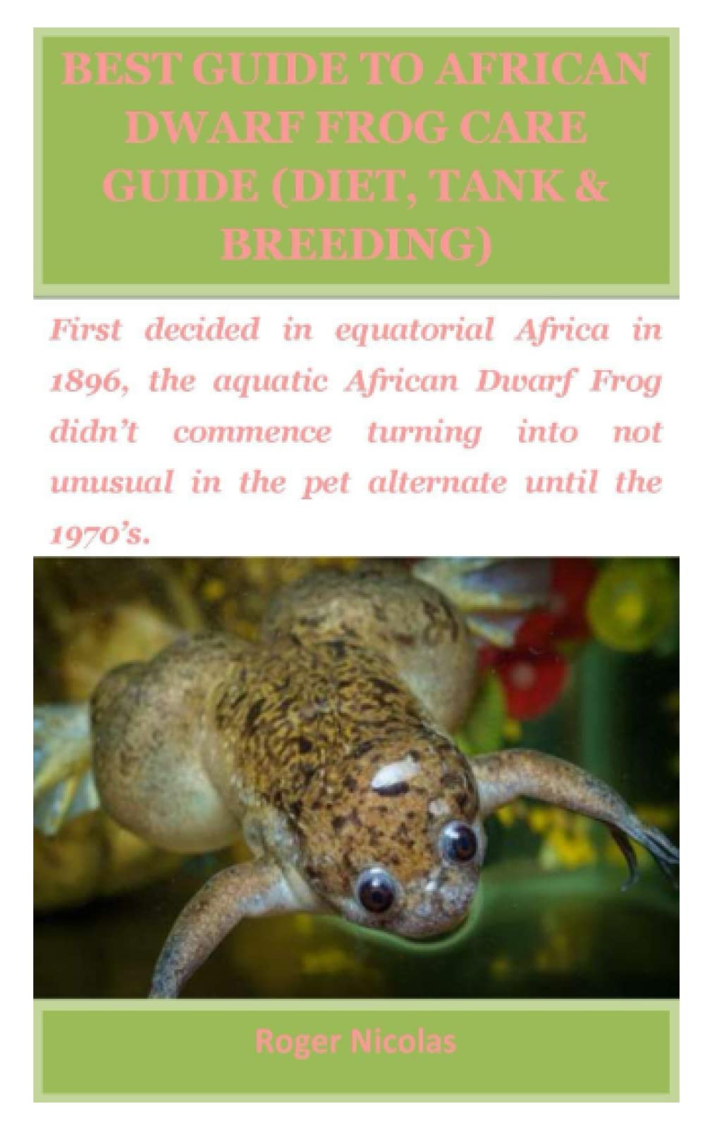 Best Guide To African Dwarf Frog Care Guide Diet Tank | Desertcart Sri ...