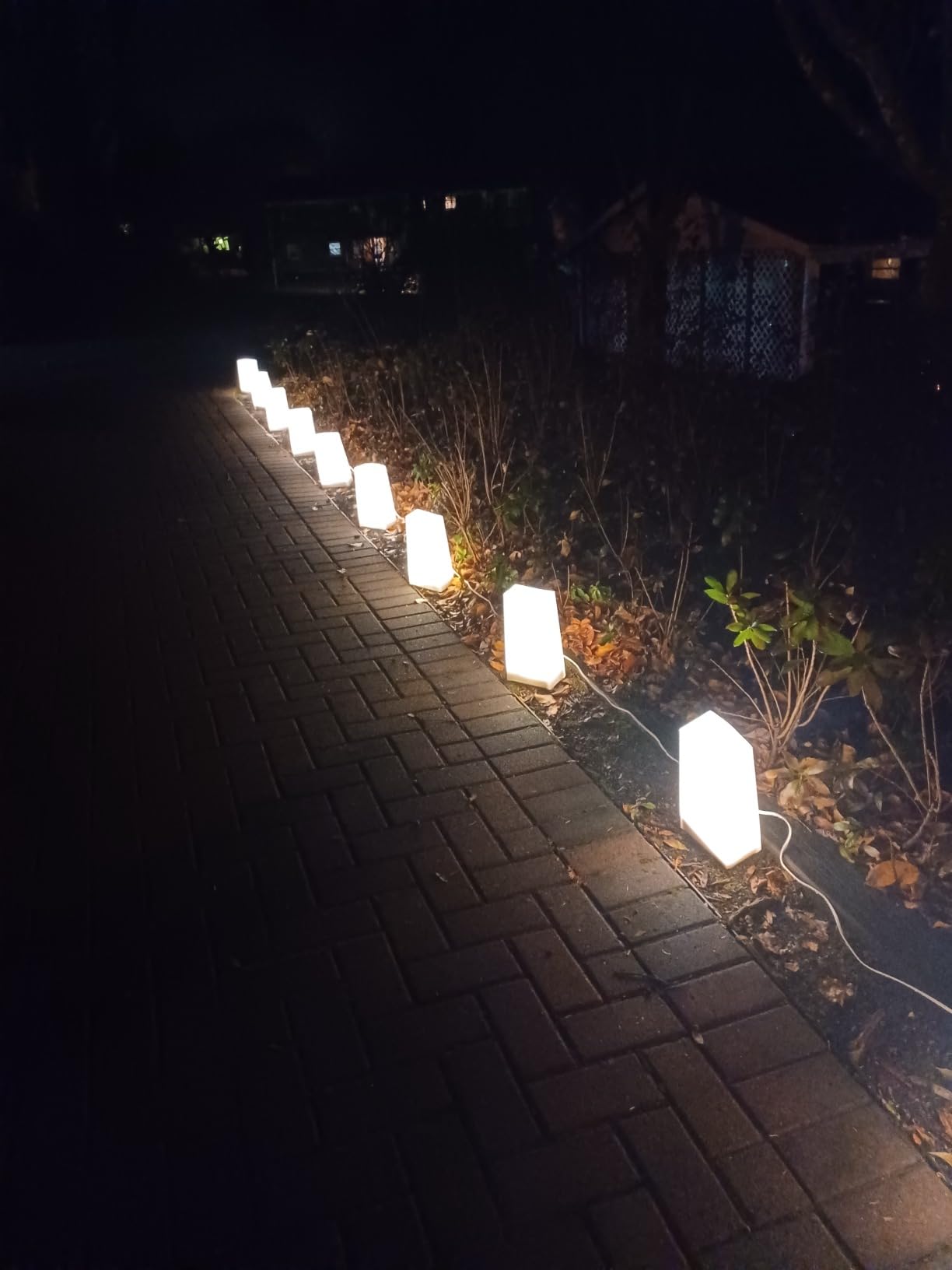 $9/mo - Finance Elf Logic - Set of 10 Electric Luminary Bags ...