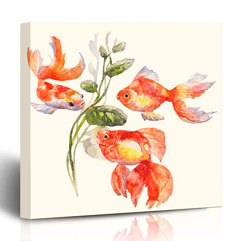 Chinese Goldfish Illustration