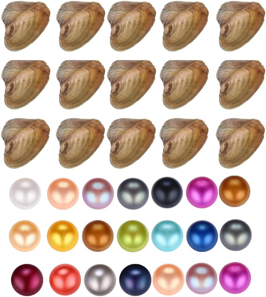 Amazon.com: 50 PC Freshwater Oyster with Pearls Inside Round Pearls ...