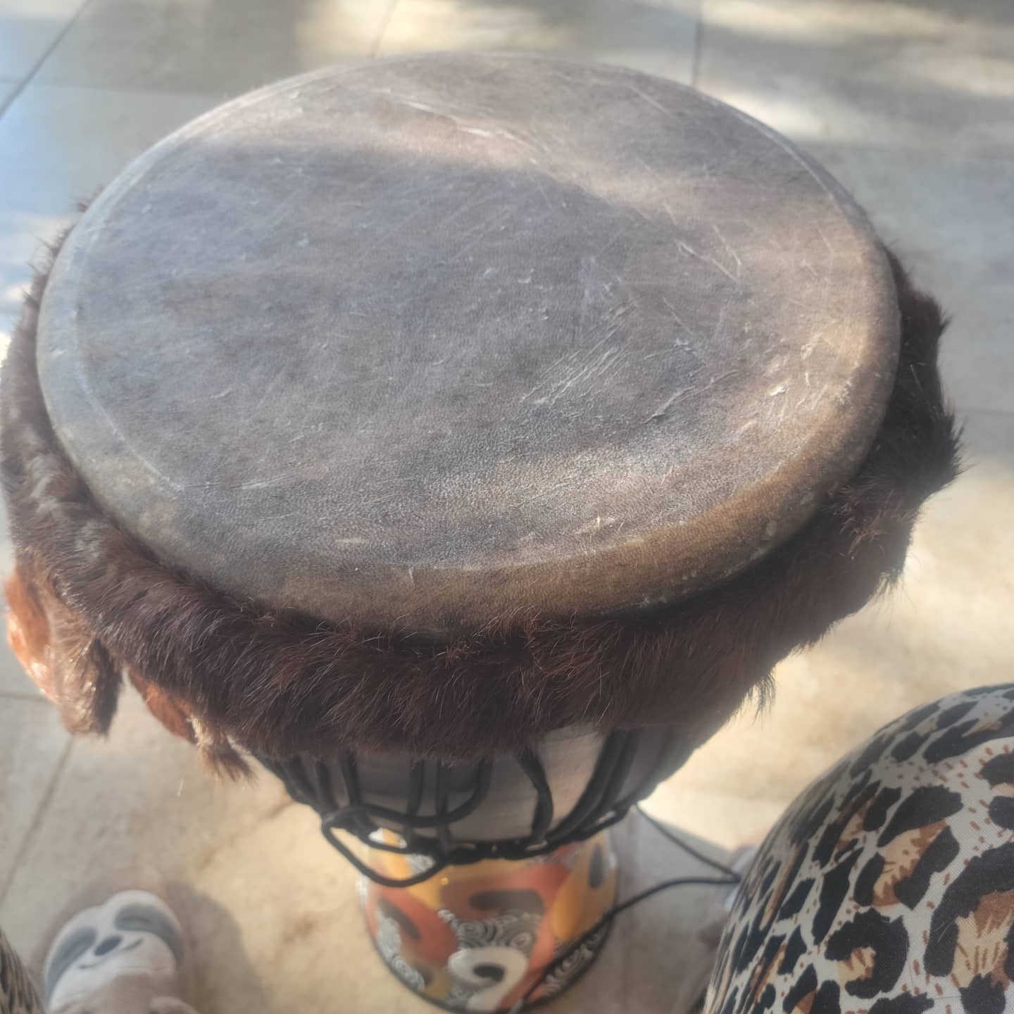 Amazon.com: Natural Goat Skin Djembe Drum Head - Thick Selection, HAIR ...