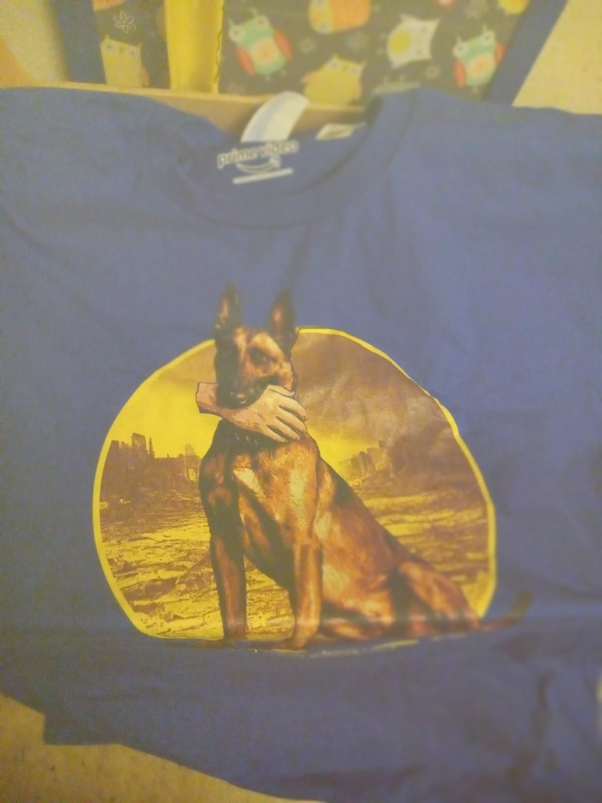 Amazon.com: Fallout - CX404 T-Shirt : Clothing, Shoes & Jewelry