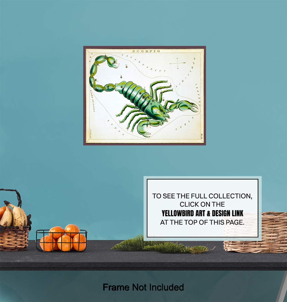 Vintage Scorpio Astrological Zodiac Chart – Great Gift and Chic Home ...
