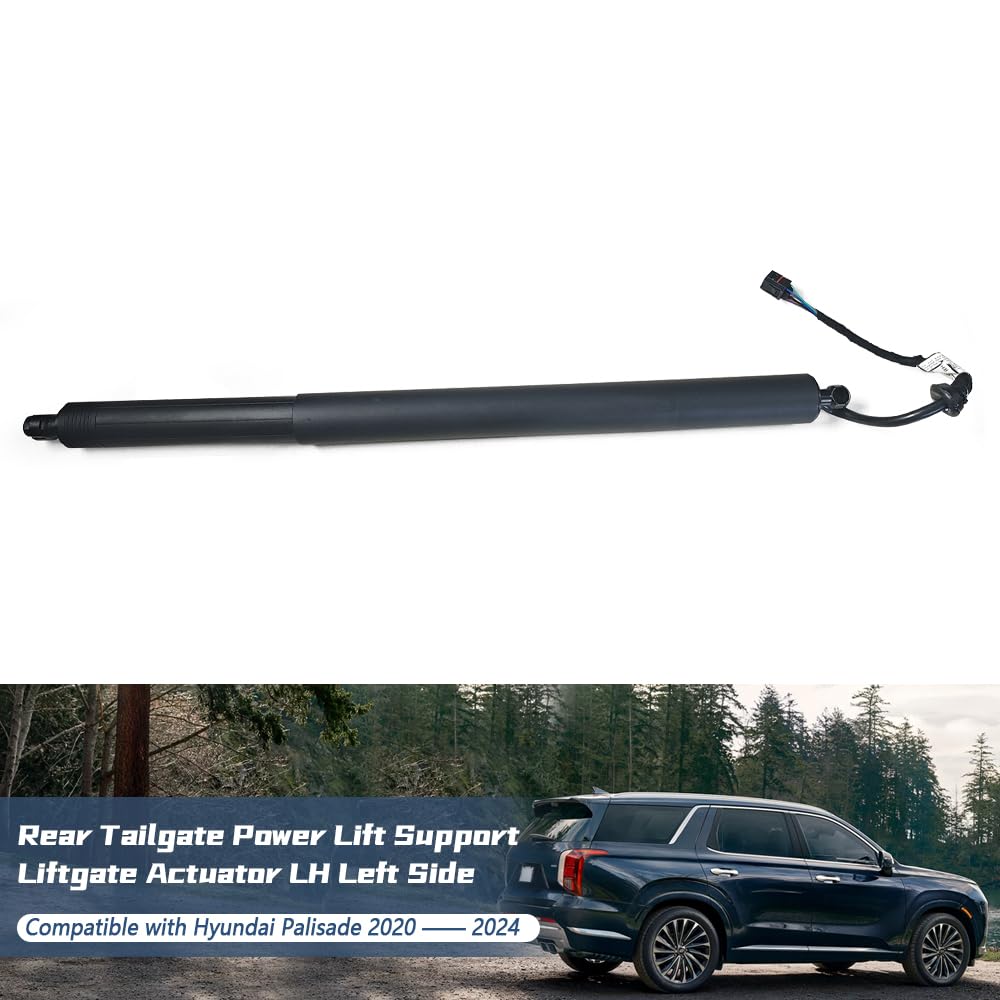 Snapklik.com : 81841-S8100 Passenger Side Rear Tailgate Power Lift ...