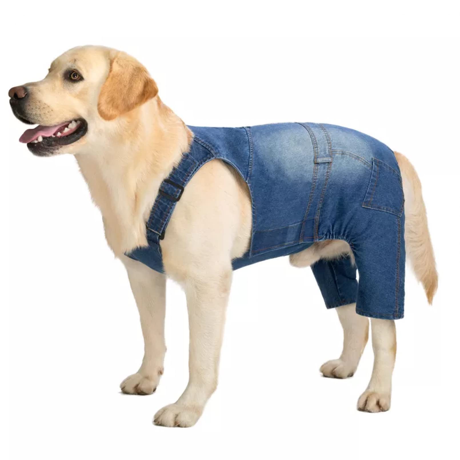 Con Qué Frecuencia El Ciclo De Calor Para Labrador Retriever