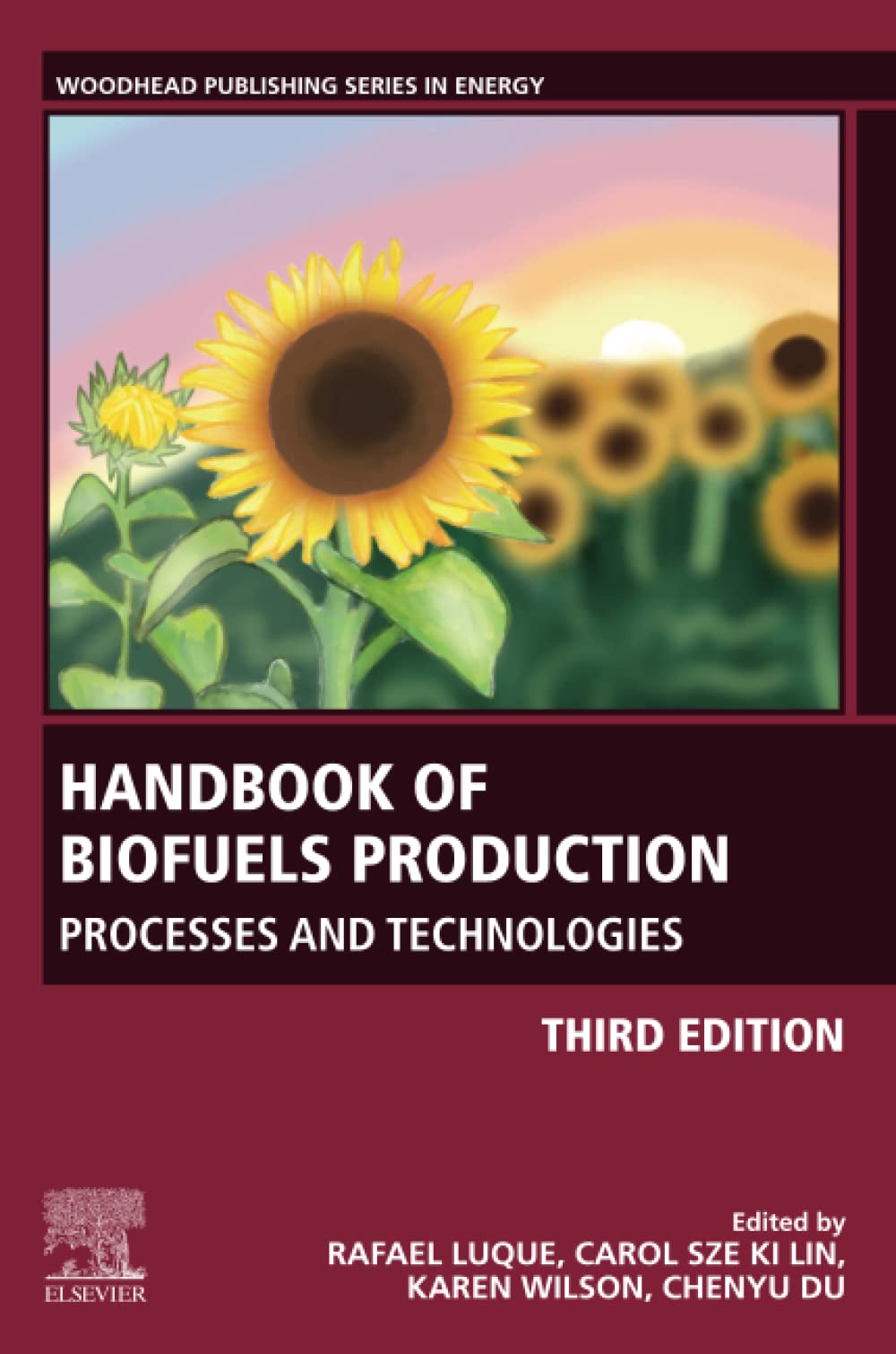 Handbook of Biofuels Production: Processes and Technologies: Amazon.co ...