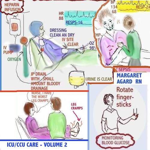 UNDERSTANDING THE BASICS OF ICU/CCU CARE VOLUME 2 - Kindle edition by ...