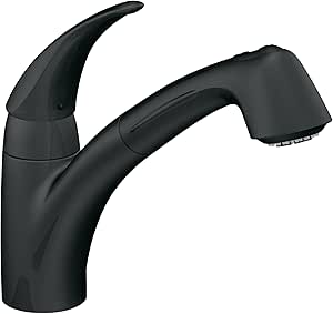 Moen 7560BL Extensa One-Handle Low Arc Pullout Kitchen Faucet, Matte ...