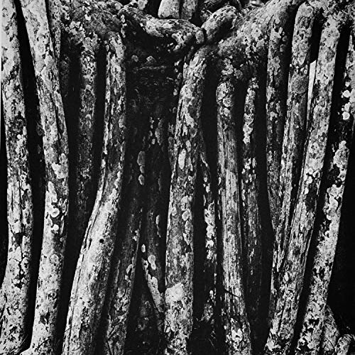 Amazon.com: Elisions : Ryan Gregory Tallman: Digital Music