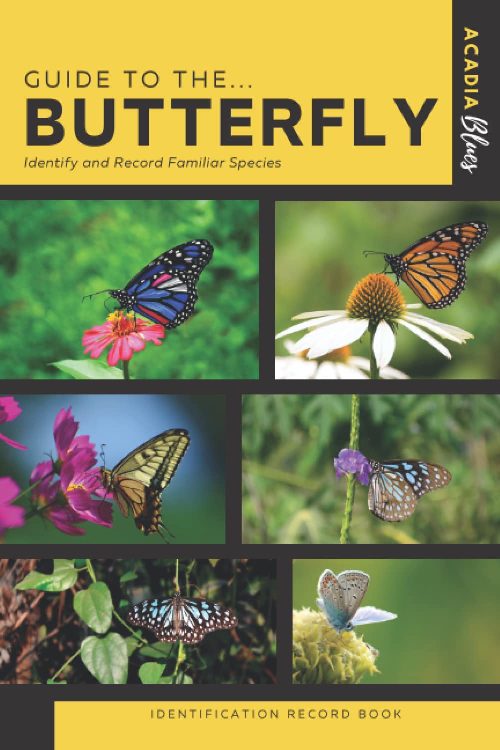 Butterfly Identification Record Book: A Companion Recognition Field ...