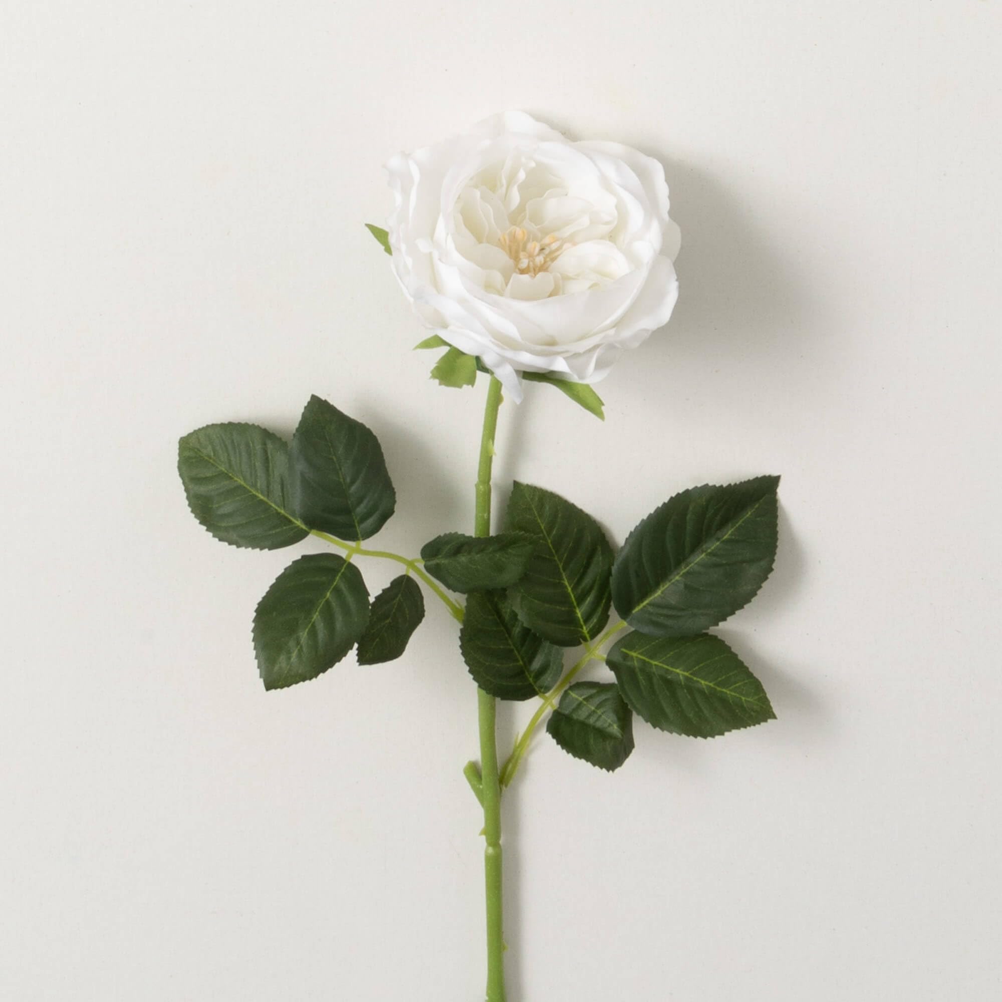 Amazon.com: Sullivans Fake Flowers, Garden Rose Flower Artificial Cream ...