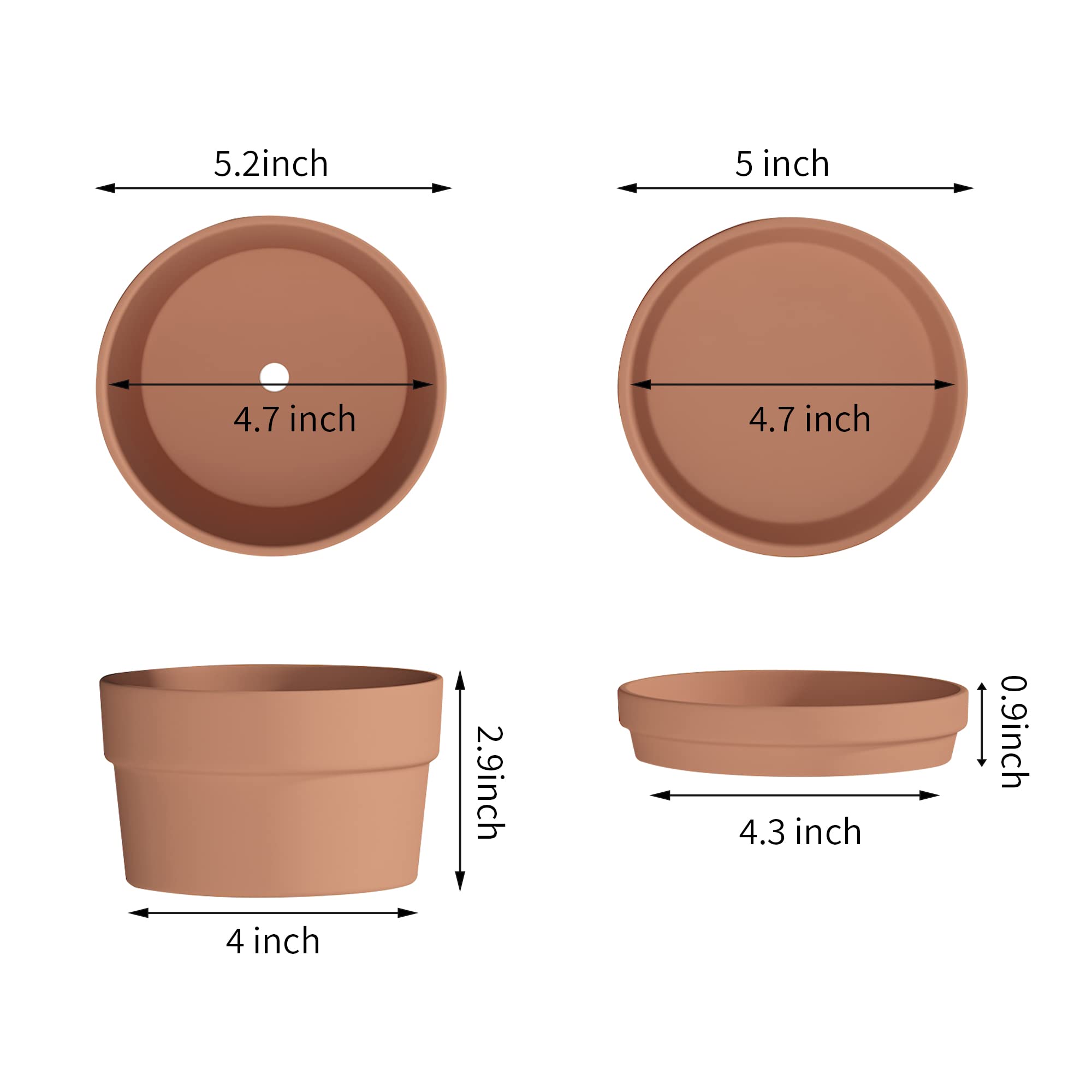 Fcacti 6 Pack 5 Inch Terracotta Shallow Succulent Pot - Terra Cotta ...