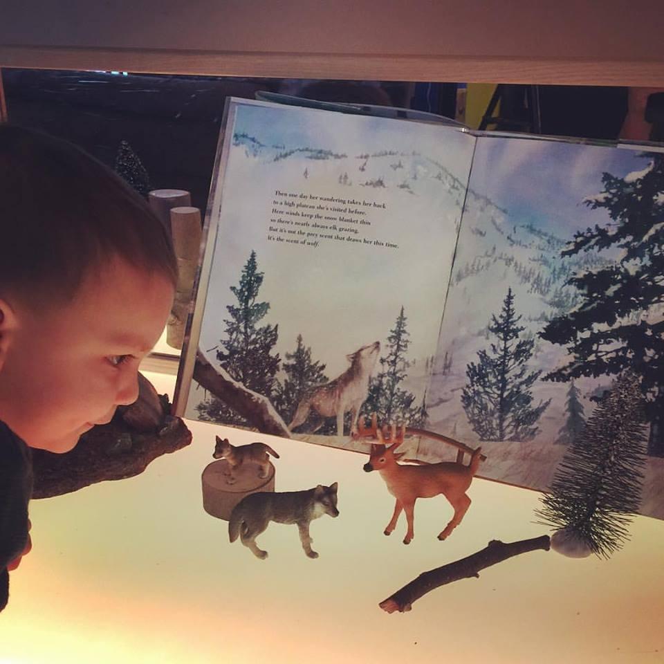 Amazon.com: Schleich Wolf Toy Figure : Schleich: Toys & Games