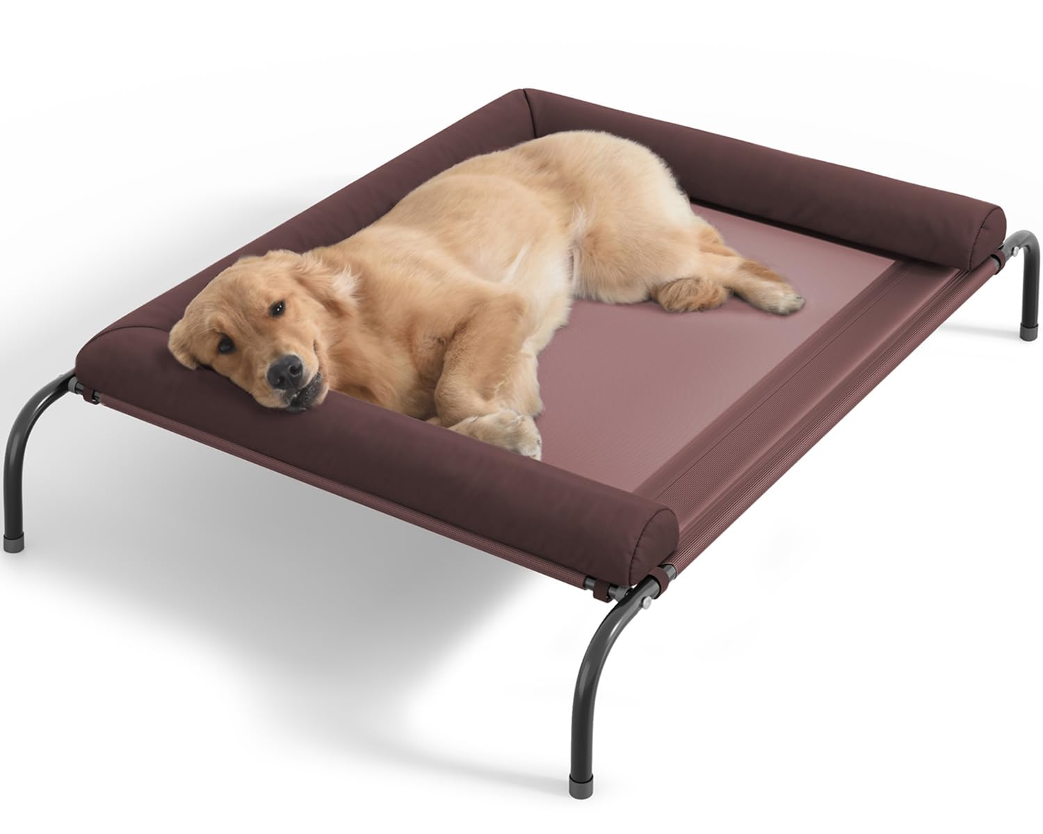 7 Best Dogs Raised Beds | Keep Cool